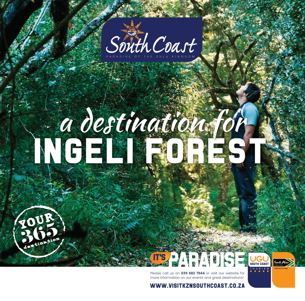 The Ingeli Forest - VISIT KZN SOUTH COAST