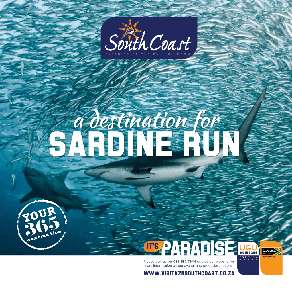 Sardine Run Update - VISIT KZN SOUTH COAST