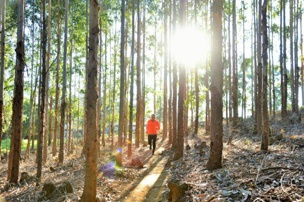 15 hidden treasures just waiting to be discovered on the KZN South ...