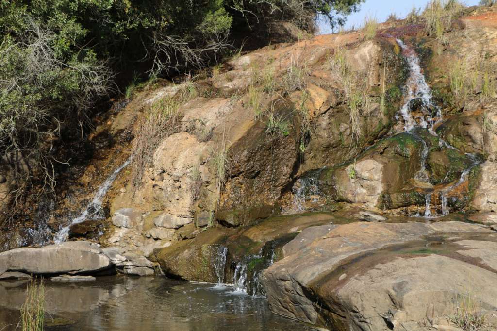 Nyamazane Game Ranch - VISIT KZN SOUTH COAST