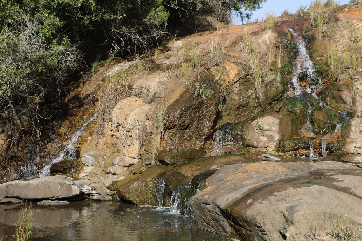 Nyamazane Game Ranch - VISIT KZN SOUTH COAST
