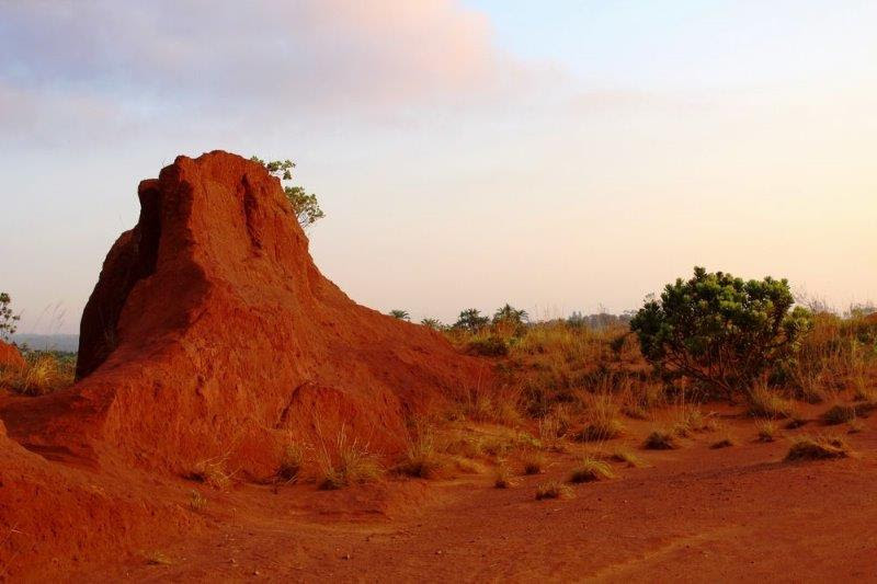 Port Edward Red Desert Nature Reserve - VISIT KZN SOUTH COAST