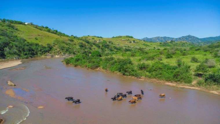 KZN South Coast launches Umzumbe River Trail, a unique hinterland ...