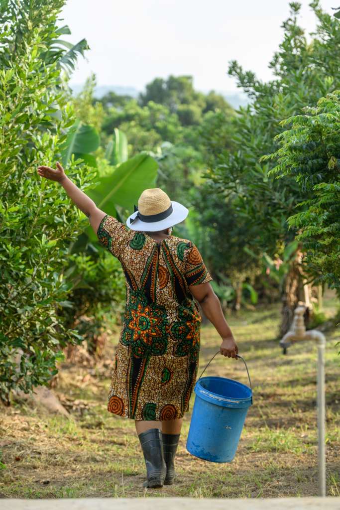 Ubumbano Farmstead in Amandawe - VISIT KZN SOUTH COAST